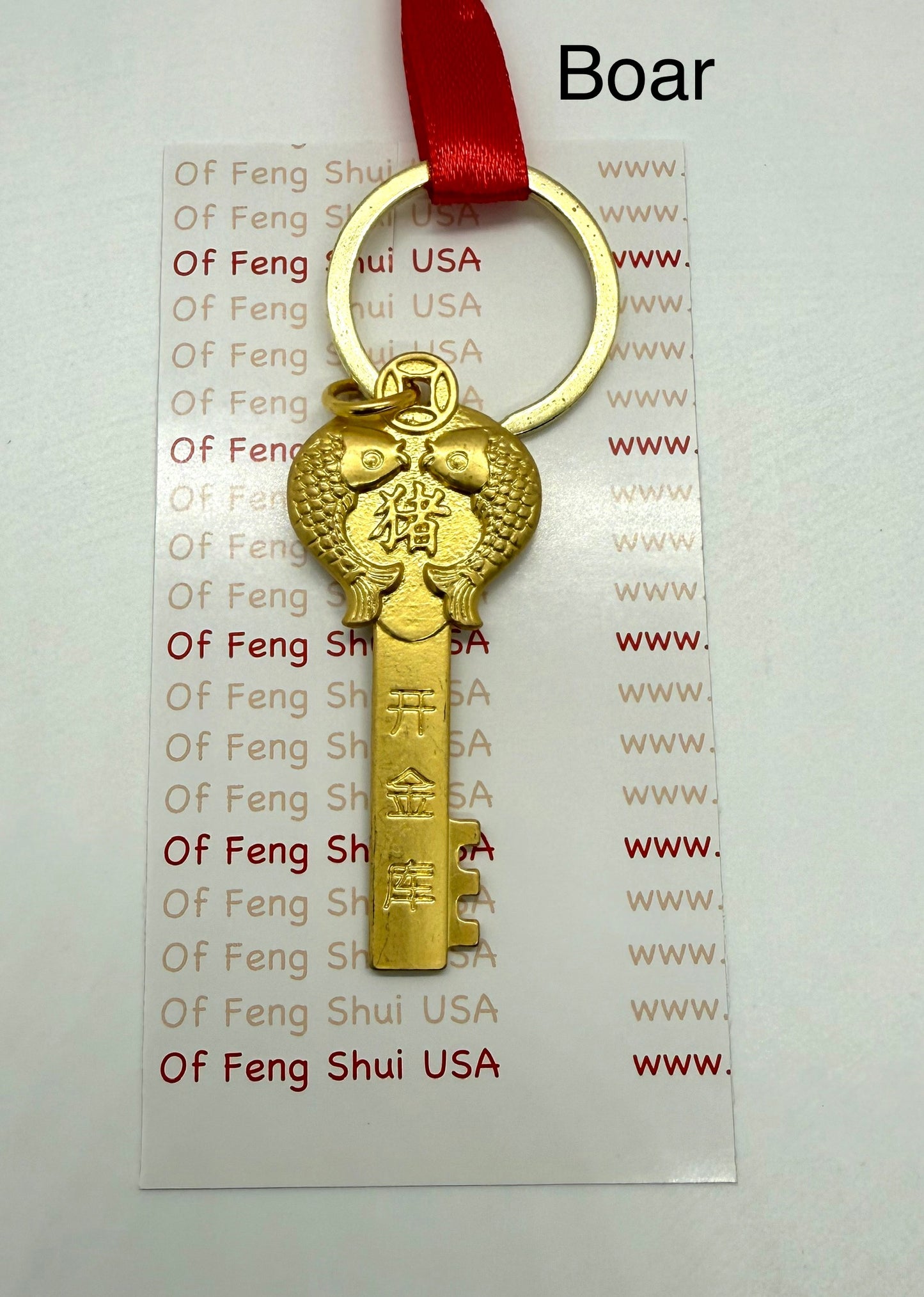 Wealth Key for Money Luck - Boar – World Of Feng Shui USA
