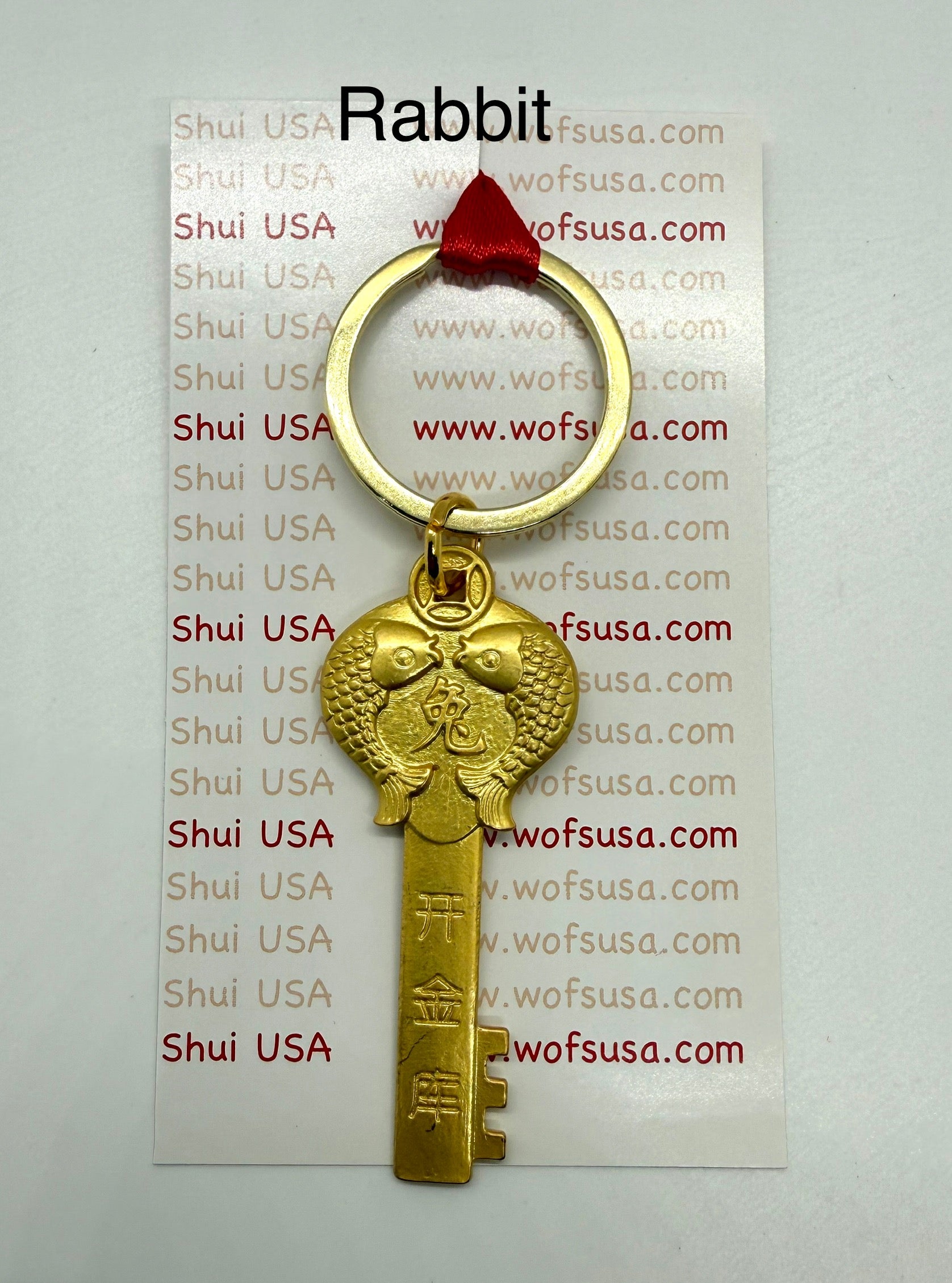 Wealth Key for Money Luck - Rabbit – World Of Feng Shui USA